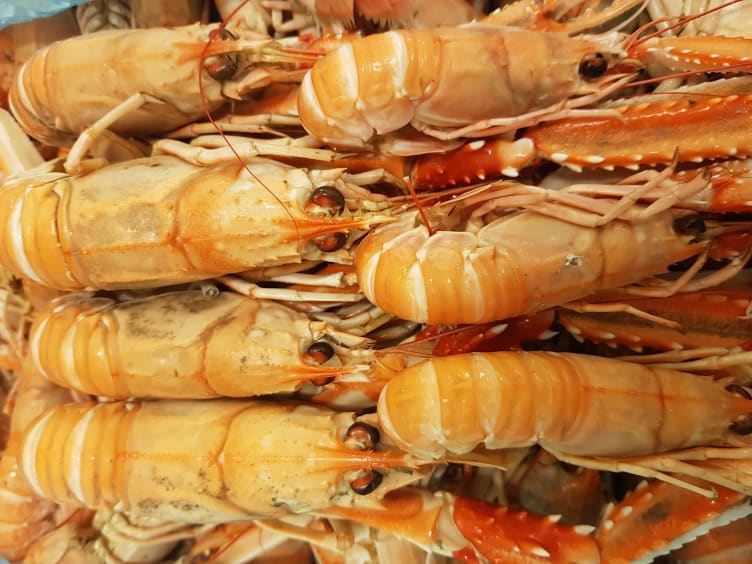 SJØKREPS, KOKT FERSK