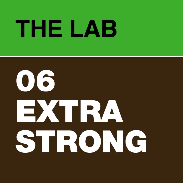 THE LAB 06 EXTRA STRONG SLIM 21,6G